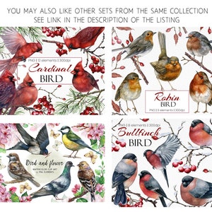 Watercolor Birdhouse Clipart,ephemera Digital Birds Journal,printable ...