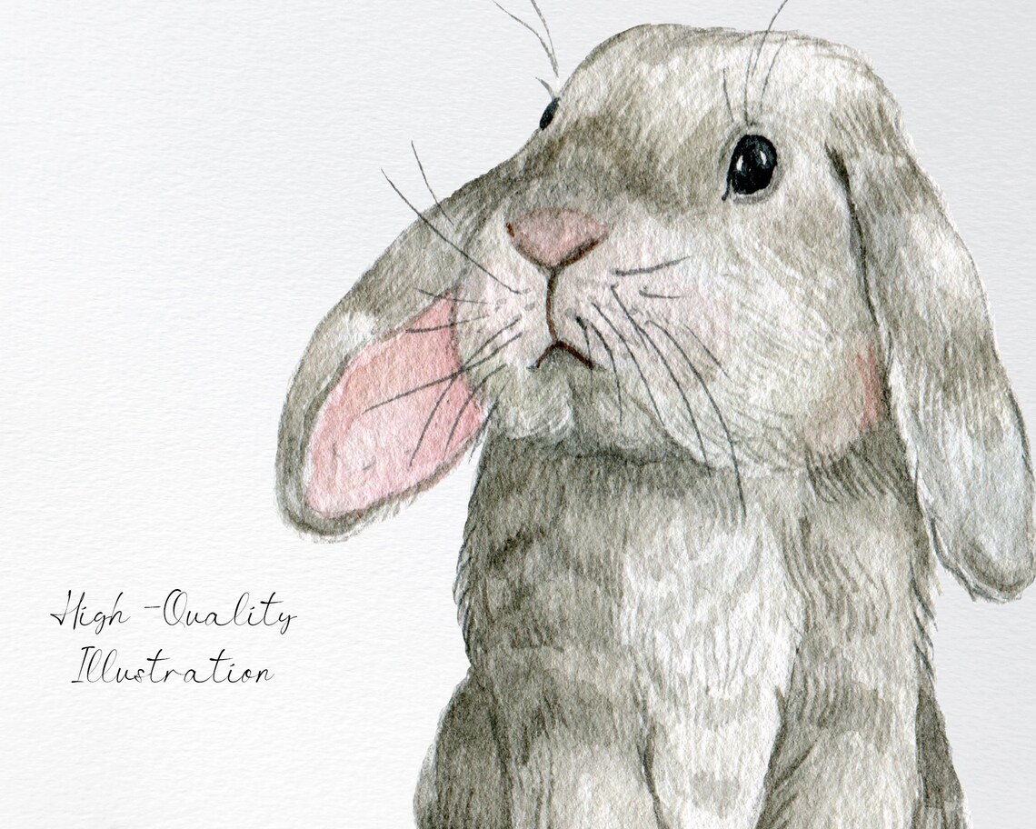 Watercolor Bunny Clipart White Easter Rabbit Set Spring - Etsy