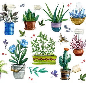 Watercolor House Plants Clipart,potted Plant Clip Art,digital Indoor ...