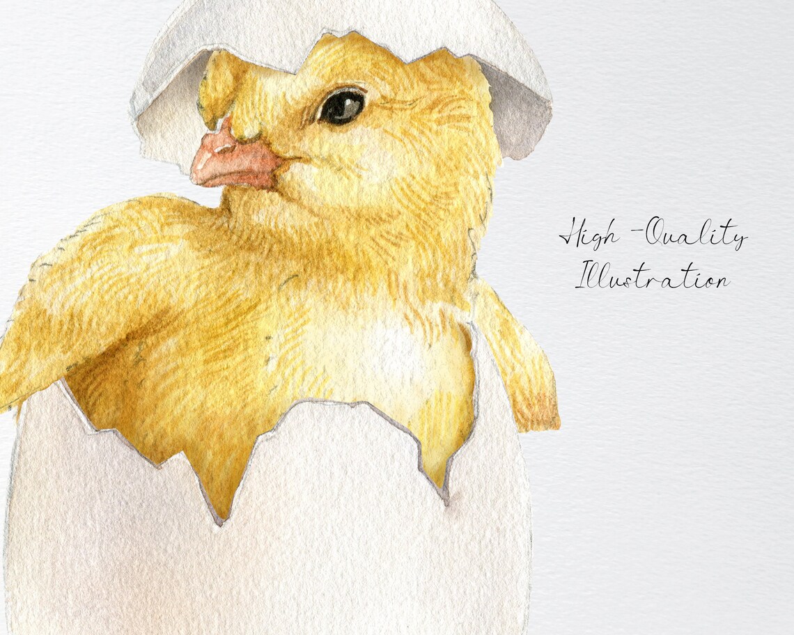 Watercolor Baby Chick Clipart Easter Baby Chicken With Egg | Etsy
