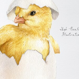 Watercolor Baby Chick Clipart, Easter Baby Chicken With Egg, Cute ...