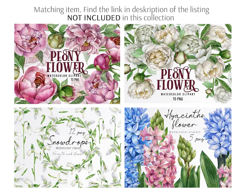 Watercolor Tulip Flower Clipartspring Easter Flower Pink - Etsy