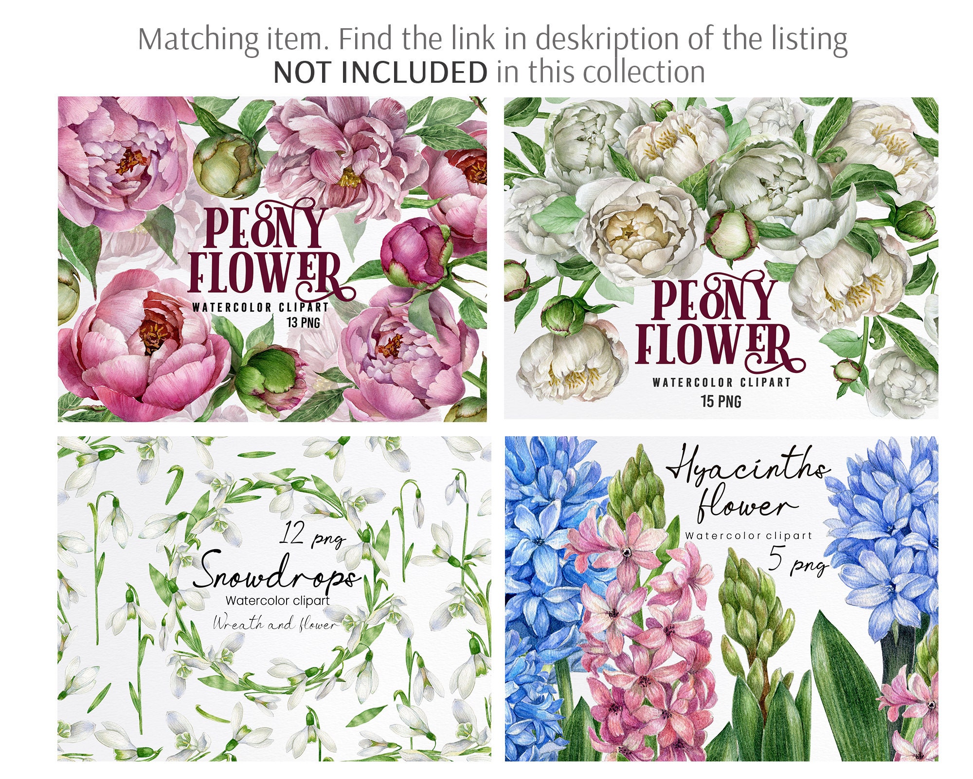 Watercolor Tulip Flower Clipartspring Easter Flower Pink - Etsy