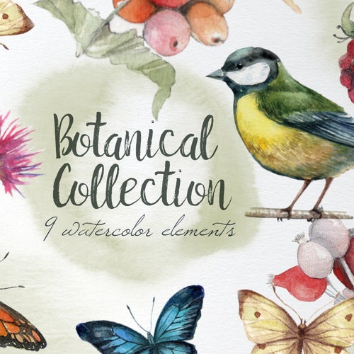 Watercolor Spring Bird Clipart Butterfly Clipart Botanical - Etsy