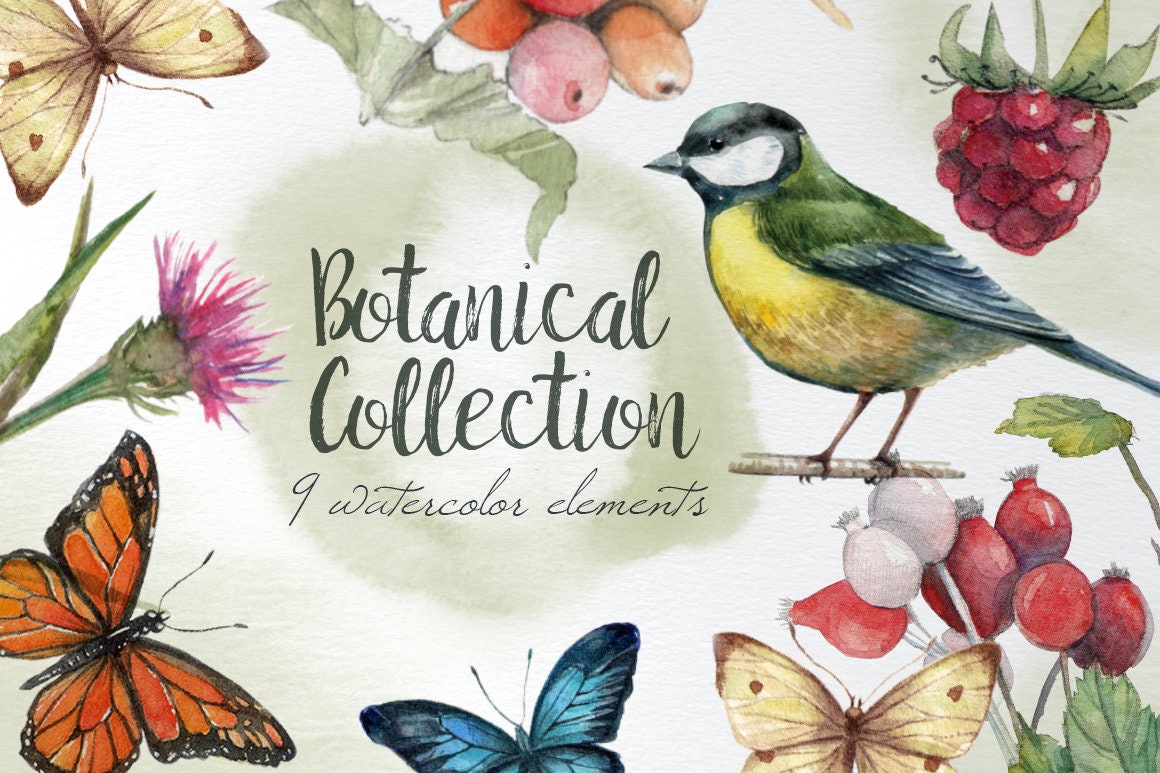 Watercolor spring bird clipart butterfly clipart botanical | Etsy