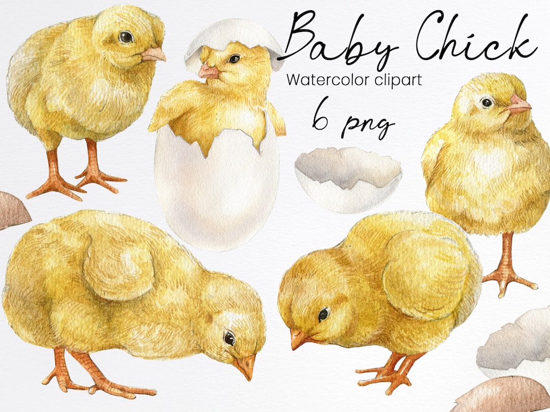 Watercolor Baby Chick Clipart, Easter Baby Chicken With Egg, Cute ...