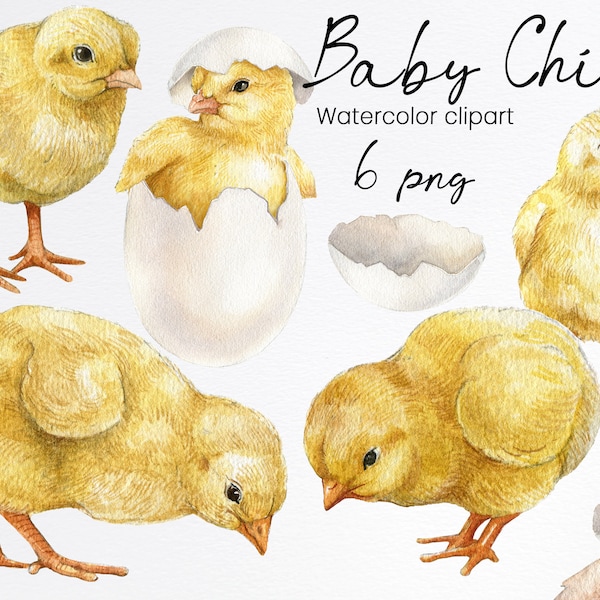 Easter Clipart - Etsy