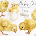 Watercolor Baby Chick Clipart, Easter Baby Chicken With Egg, Cute ...