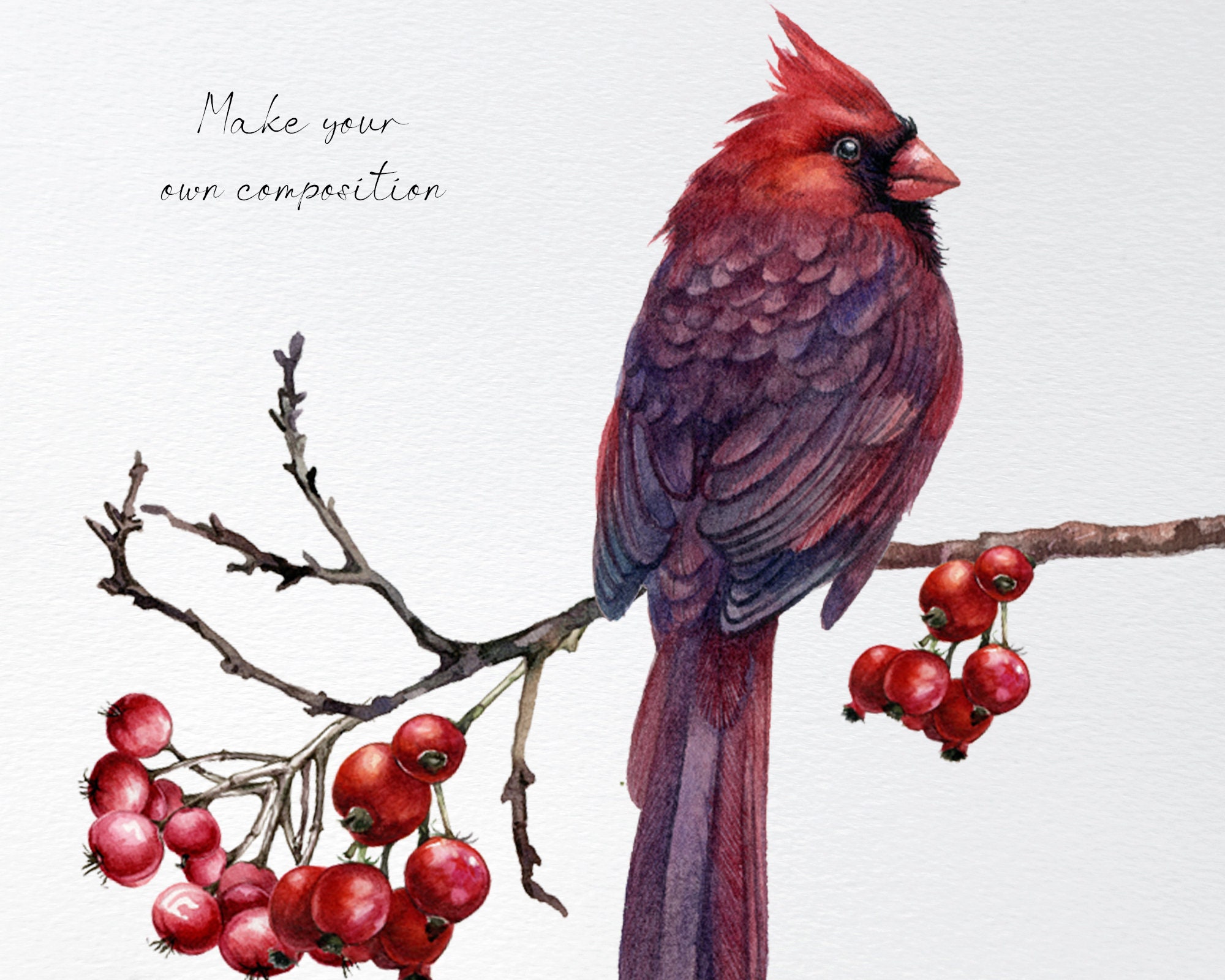 Watercolor Red Cardinal Bird Clipart Christmas Clipart - Etsy