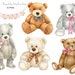 Watercolor Teddy Bear Clipart.vintage Bear Digital Illustrations, Diy ...