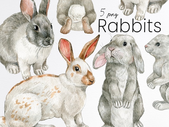 Watercolor Bunny Clipart White Easter Rabbit Set Spring - Etsy