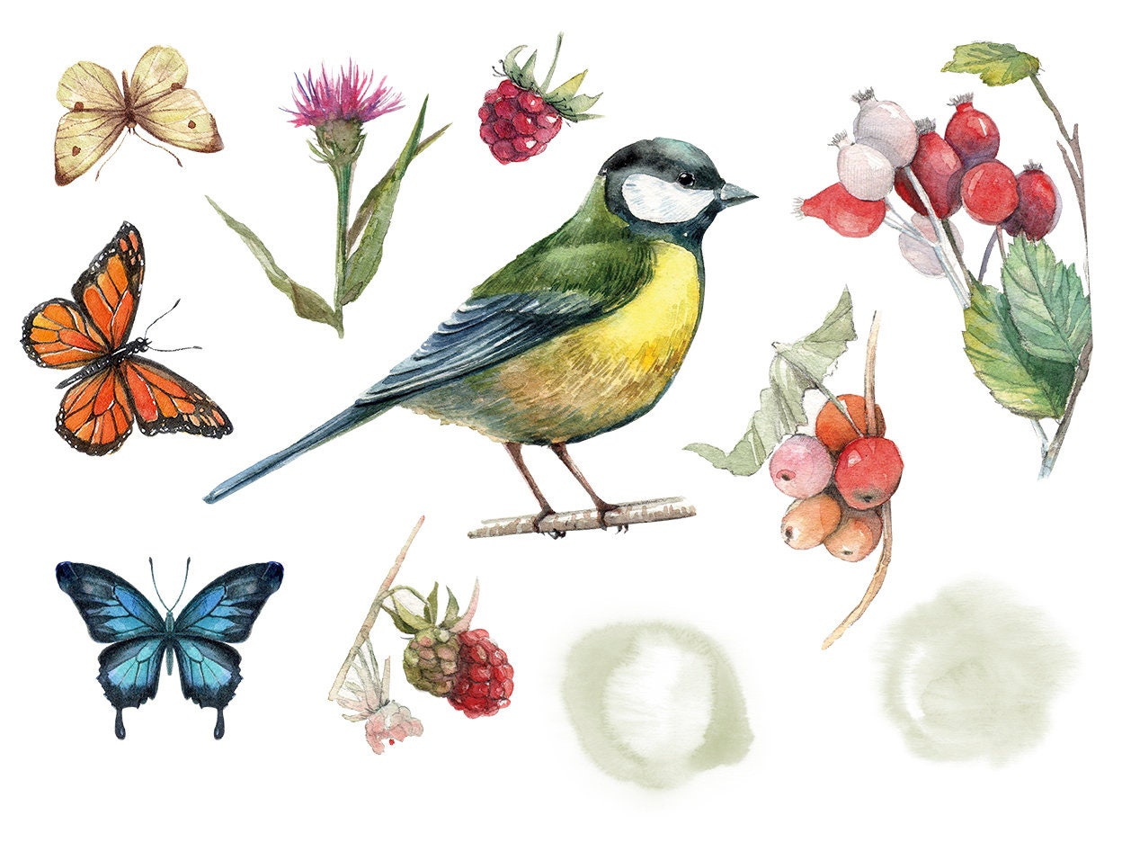 Watercolor Spring Bird Clipart Butterfly Clipart Botanical - Etsy