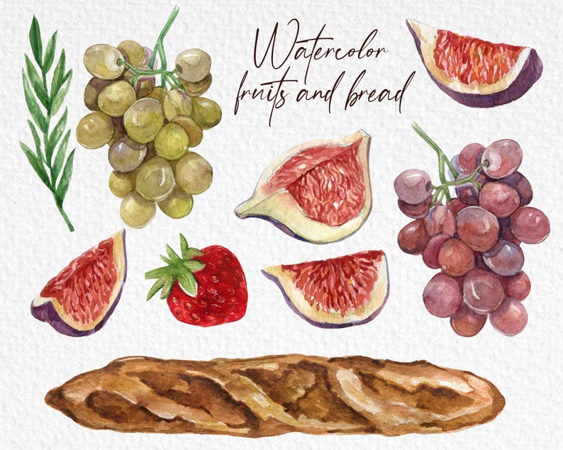 Watercolor Wine & Cheese Clipartpicnic Food Clipartcheese - Etsy