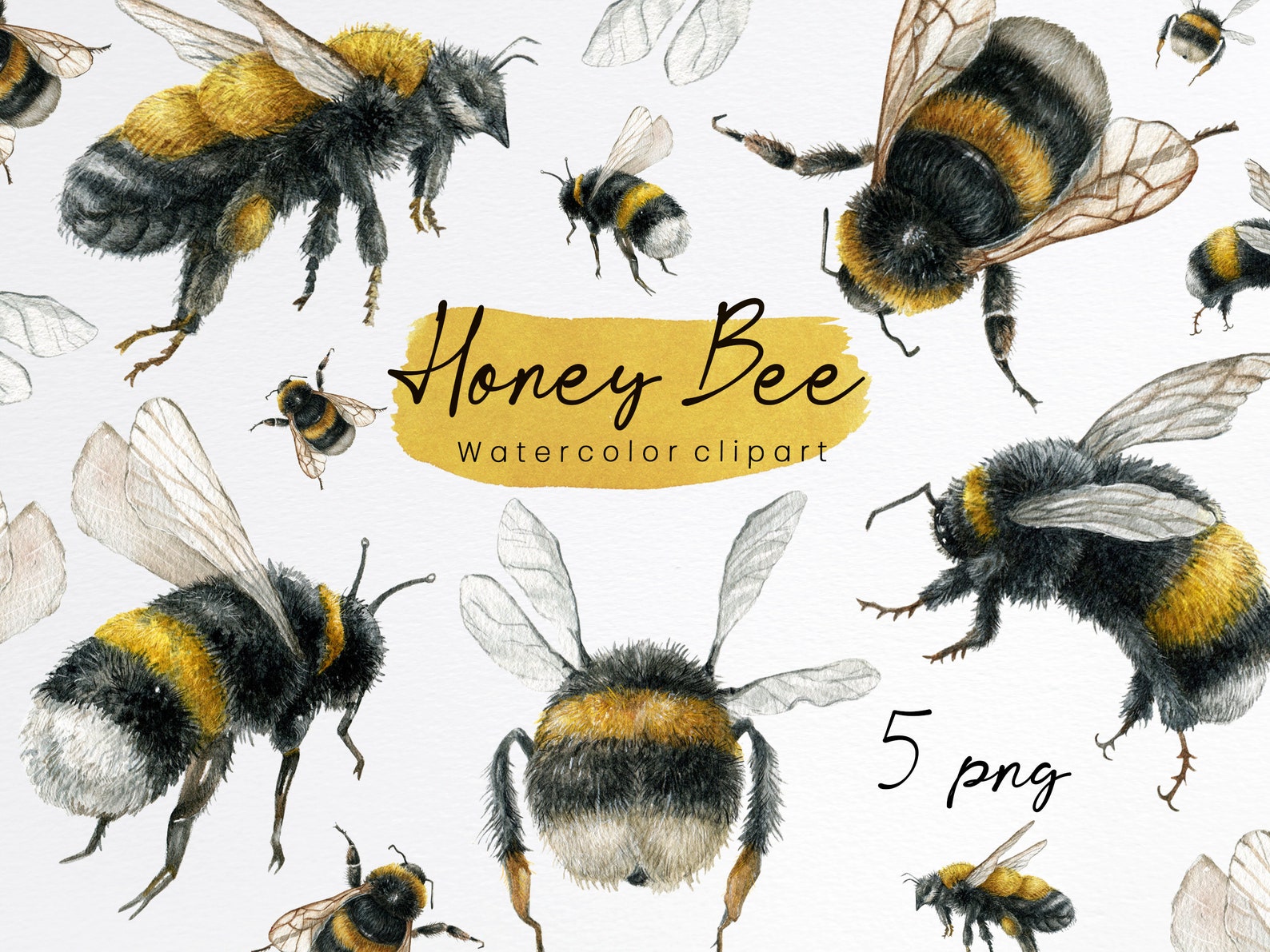 Watercolor Bee Clipart. Bumblebee Clipart. Honey Bee - Etsy