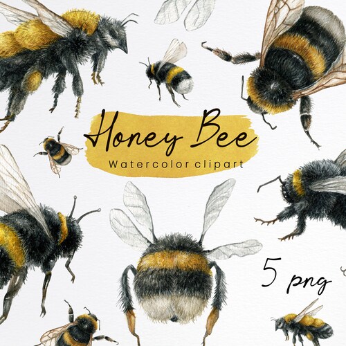 Watercolor Bee Clipart. Bumblebee Clipart. Honey Bee - Etsy