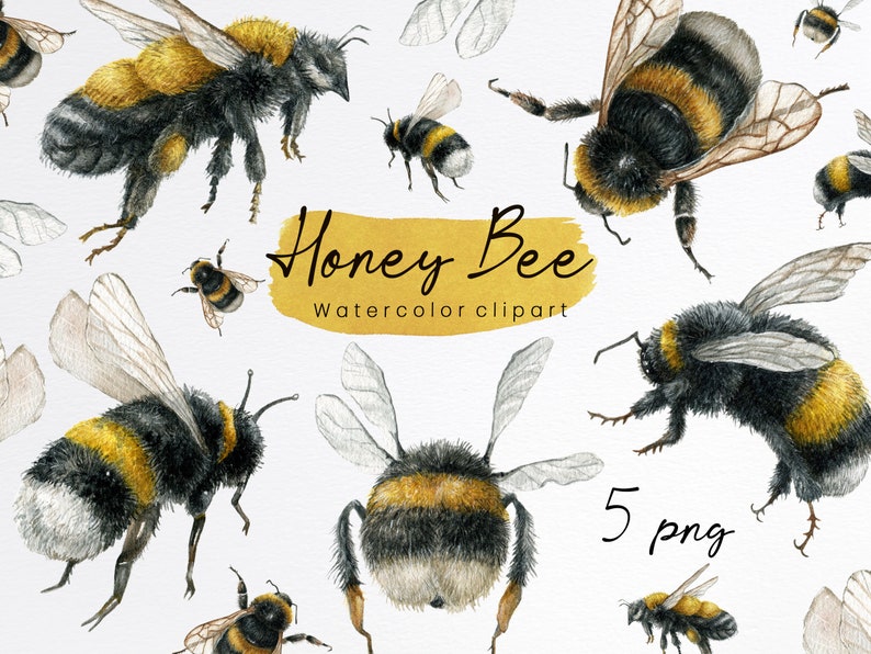 Watercolor Bee Clipart. Bumblebee Clipart. Honey Bee - Etsy