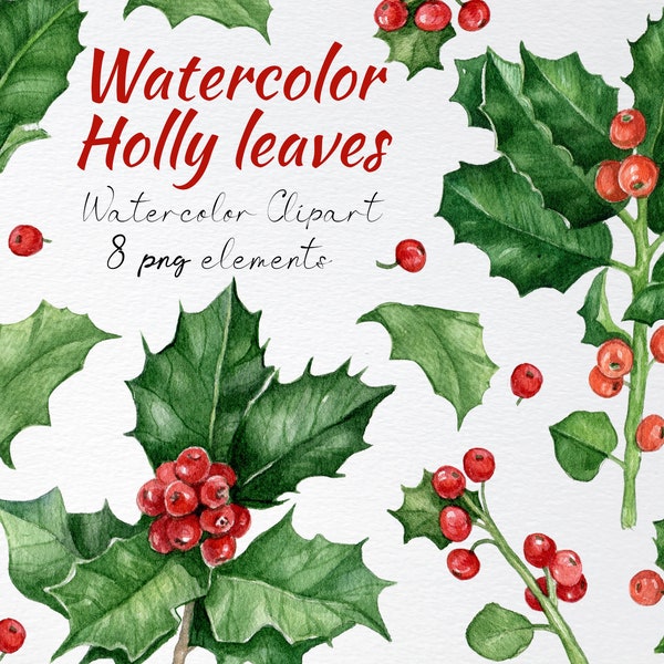 Holly Watercolor - Etsy