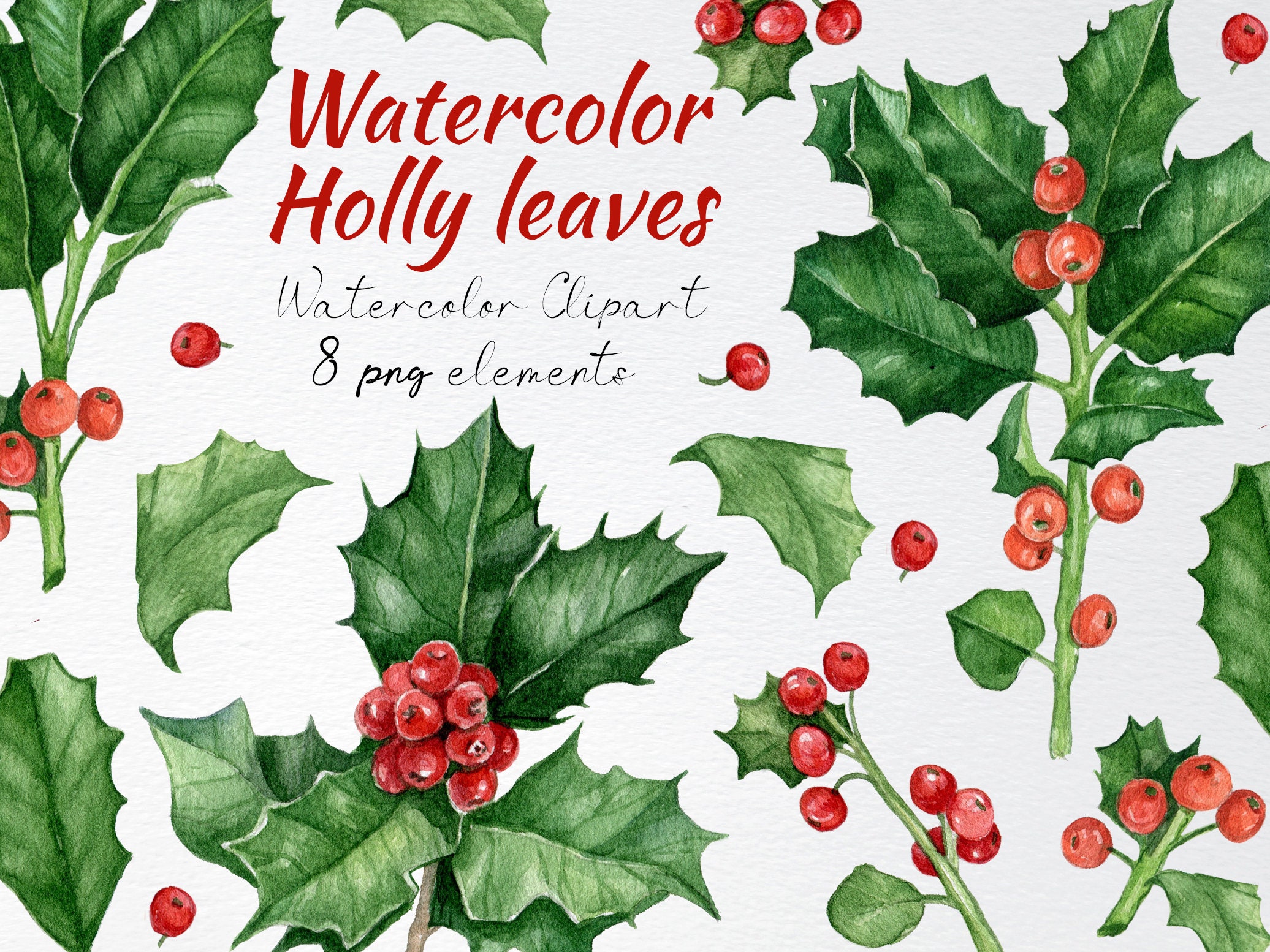 Watercolor Holly Leaves and Red Berries Clipartchristmas - Etsy