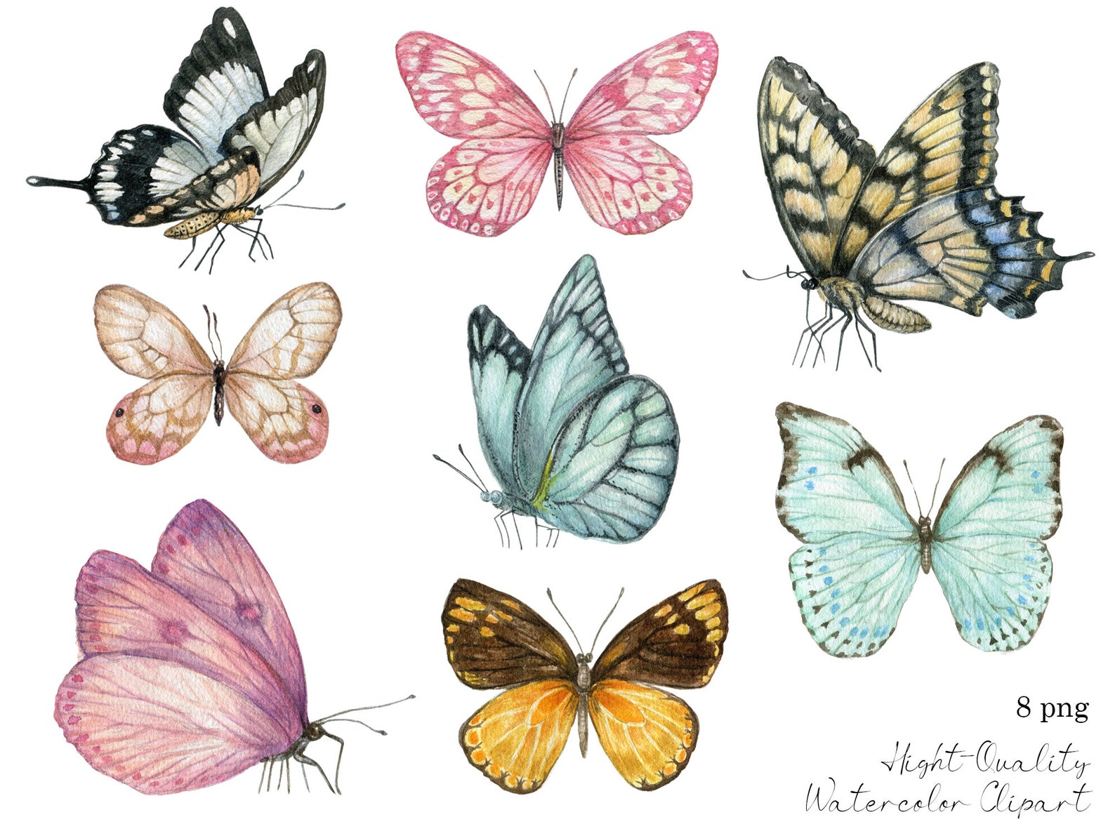 Watercolor Butterfly Clipart.realistic Garden | Etsy