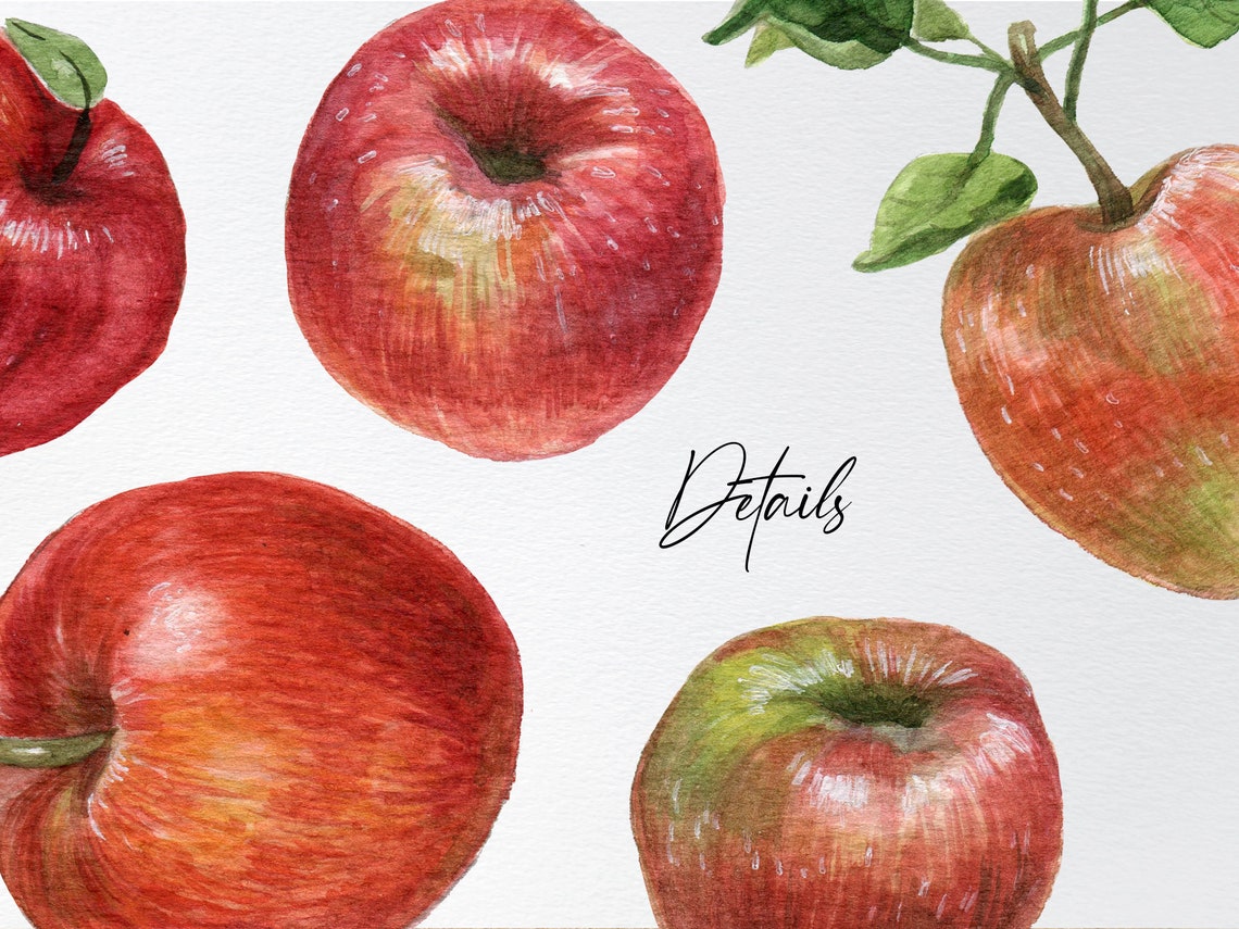 Watercolor Red Apple Clipartapple Garden Harvestfall Decor - Etsy