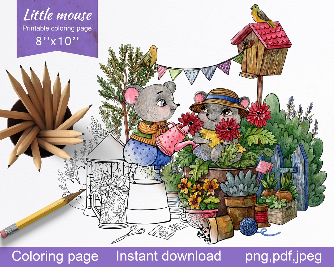 Fairy Little Mouse Adult Coloring Page Pdf.spring Garden Cute Mice ...