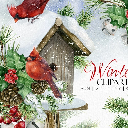 Watercolor Red Cardinal Bird Clipart Christmas Clipart - Etsy
