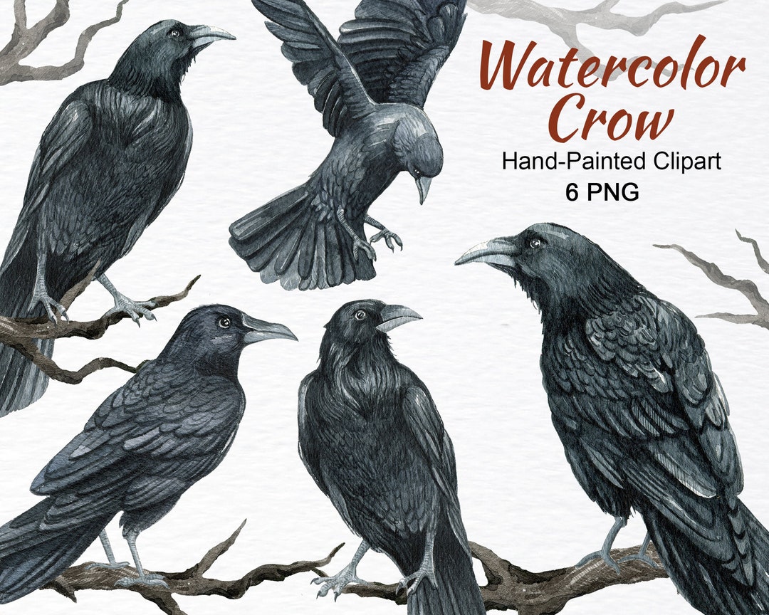 Watercolor Raven Clipart,digital Crow Clipart,black Bird Illustration ...