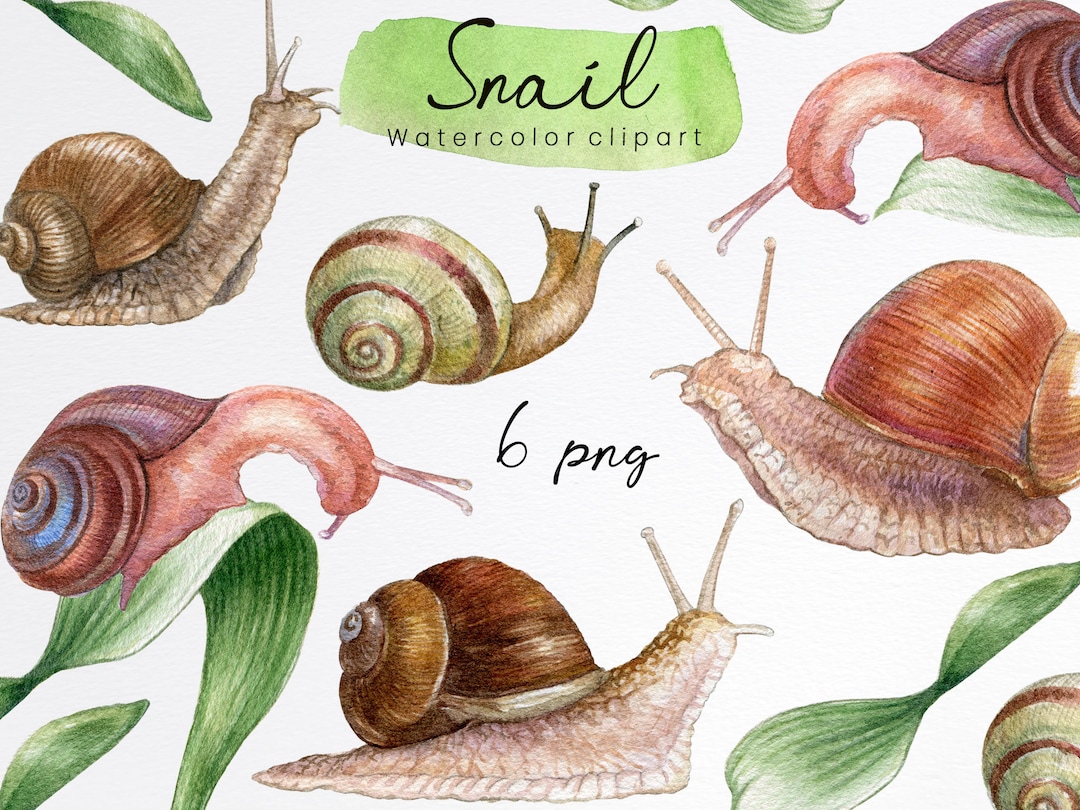 Cute Slug Clipart