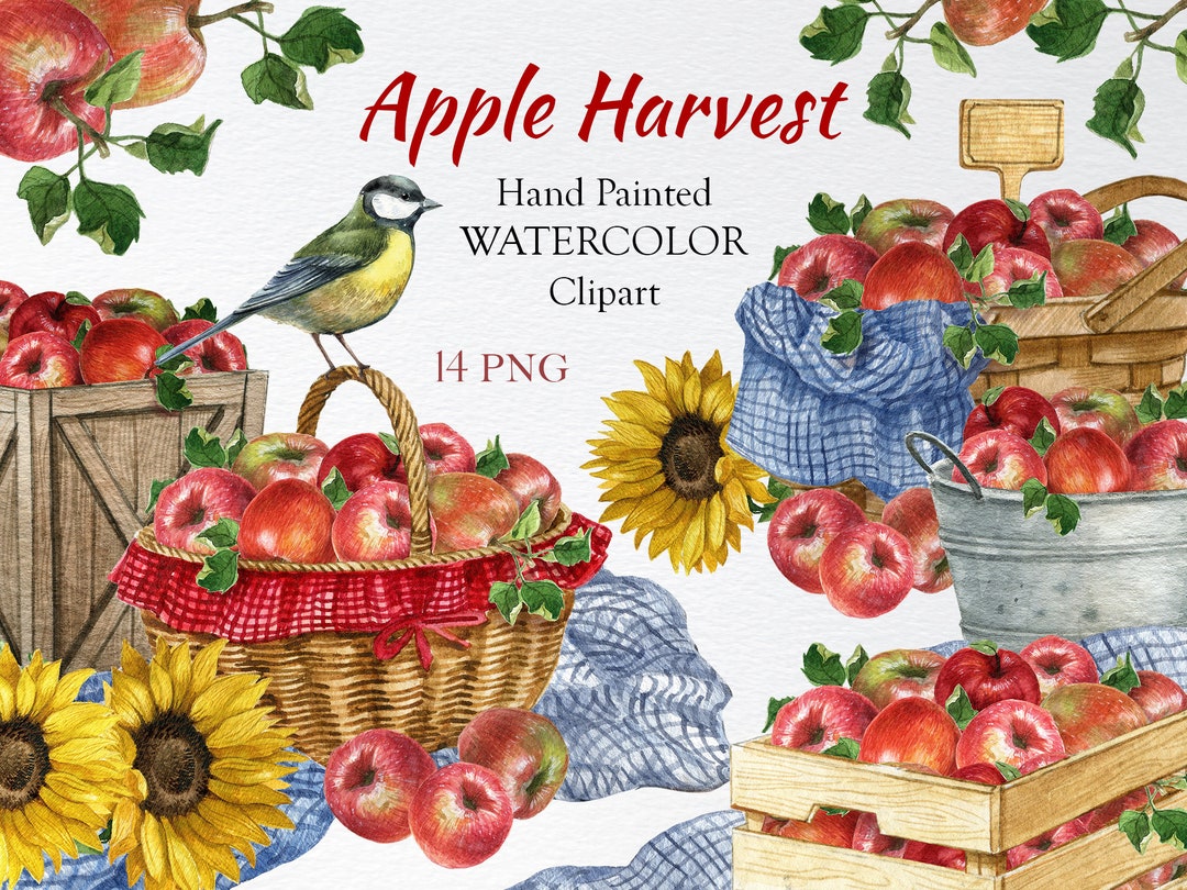 Watercolor Red Apple Clipart,apple Garden Harvest,fall Decor Clipart ...