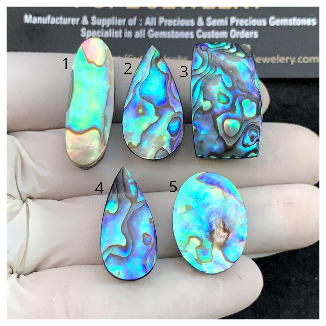 Abalone Shell Gemstone Smooth Mix Shape Cabochon High Quality Loose ...