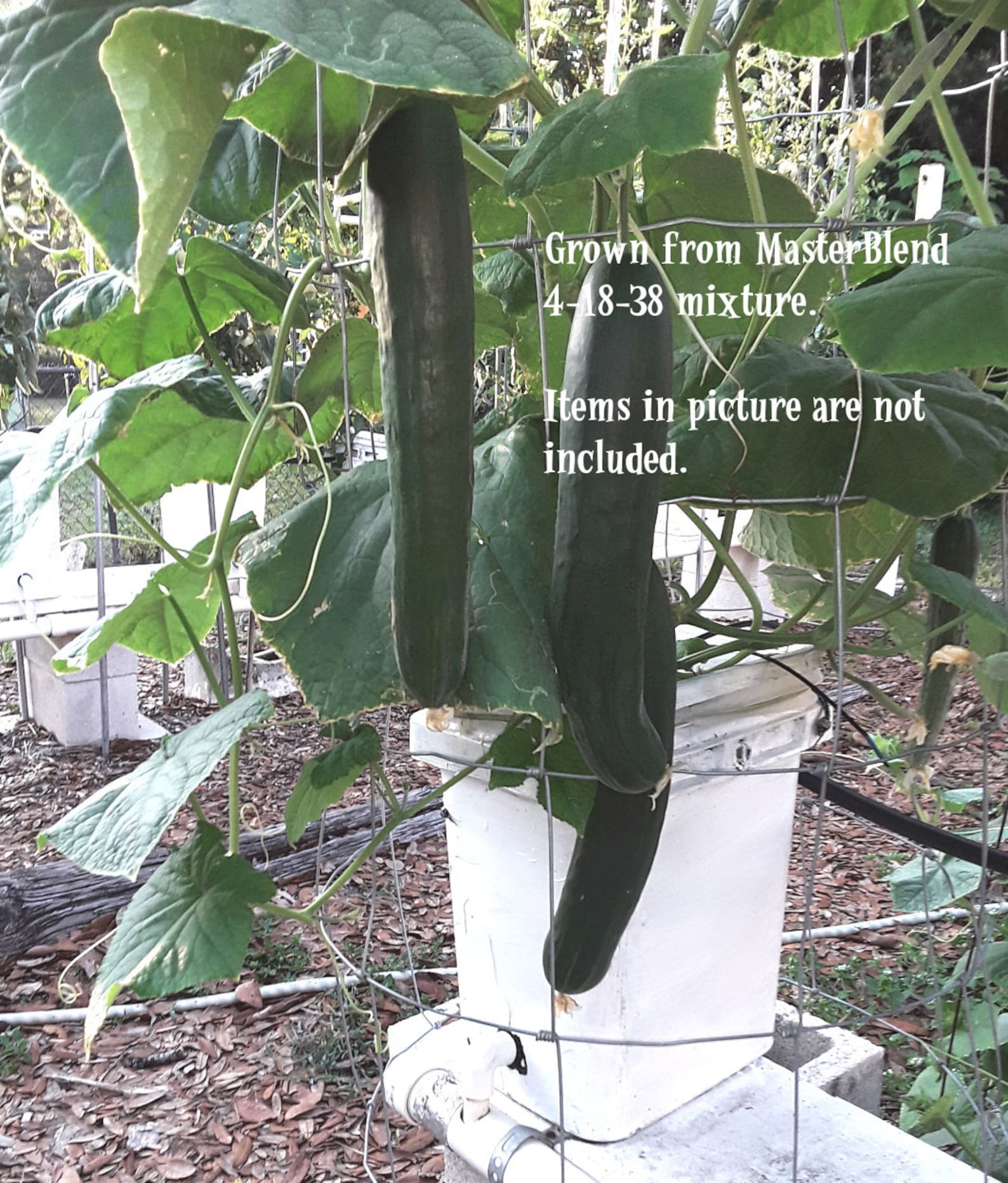 Masterblend 4-18-38 Tomato & Vegetable Fertilizer COMBO KIT - 2.5 Lb - Etsy