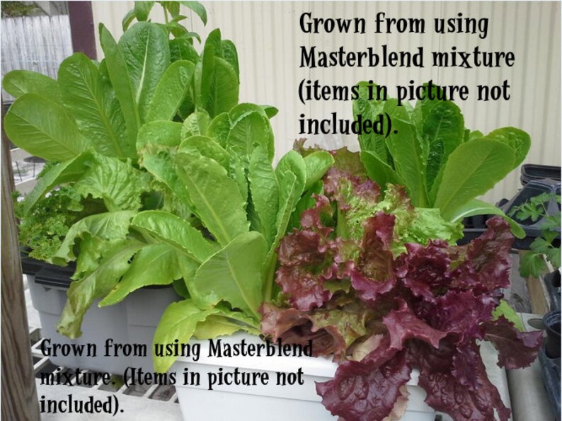 Masterblend 4-18-38 Tomato & Vegetable Fertilizer COMBO KIT - 2.5 Lb - Etsy