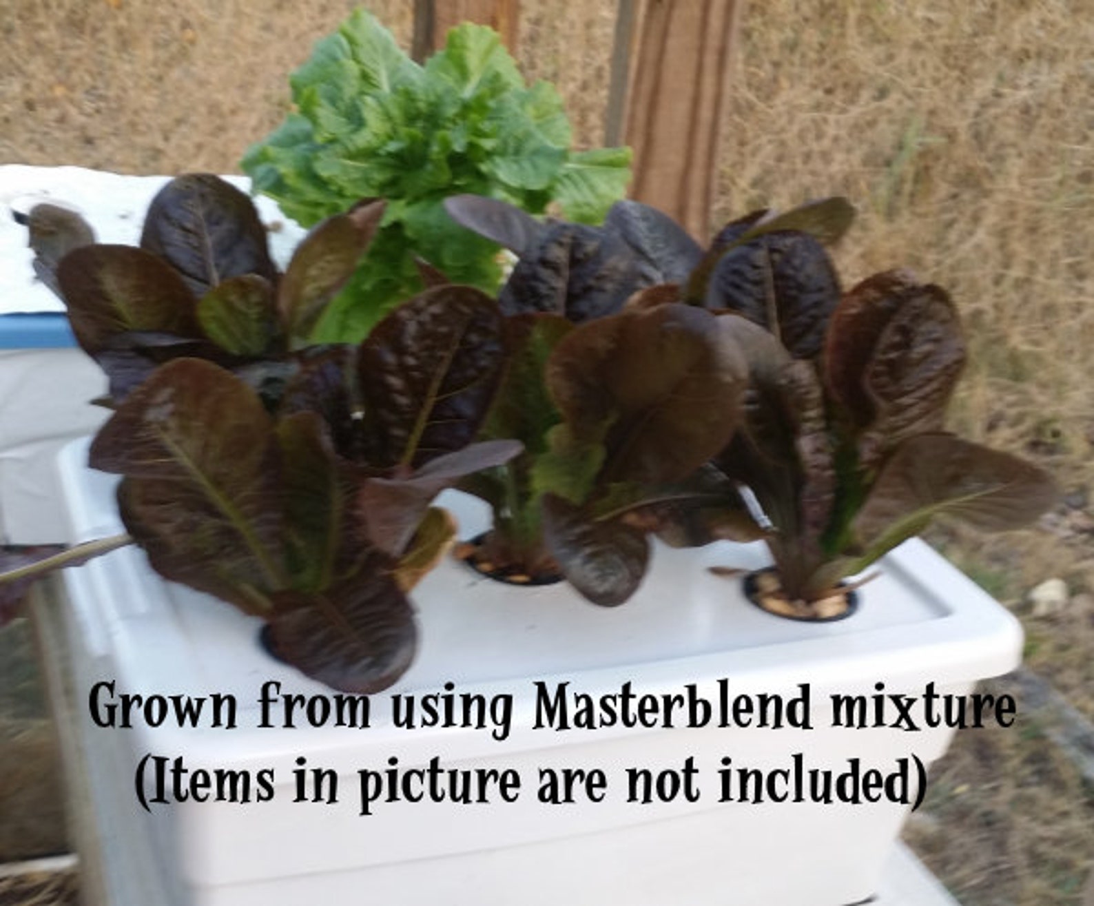 Masterblend 4-18-38 Tomato & Vegetable Fertilizer COMBO KIT - 2.5 Lb - Etsy