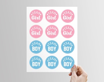 Team Boy Team Girl Stickers Gender Reveal Stickers Team - Etsy UK