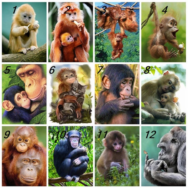 Baby Animal Painting - Etsy