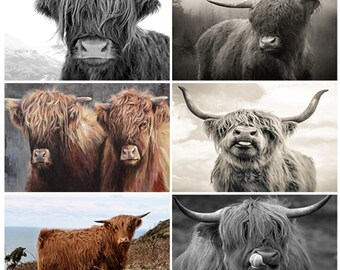 Highland Cow Diamond Dot Painting - Etsy