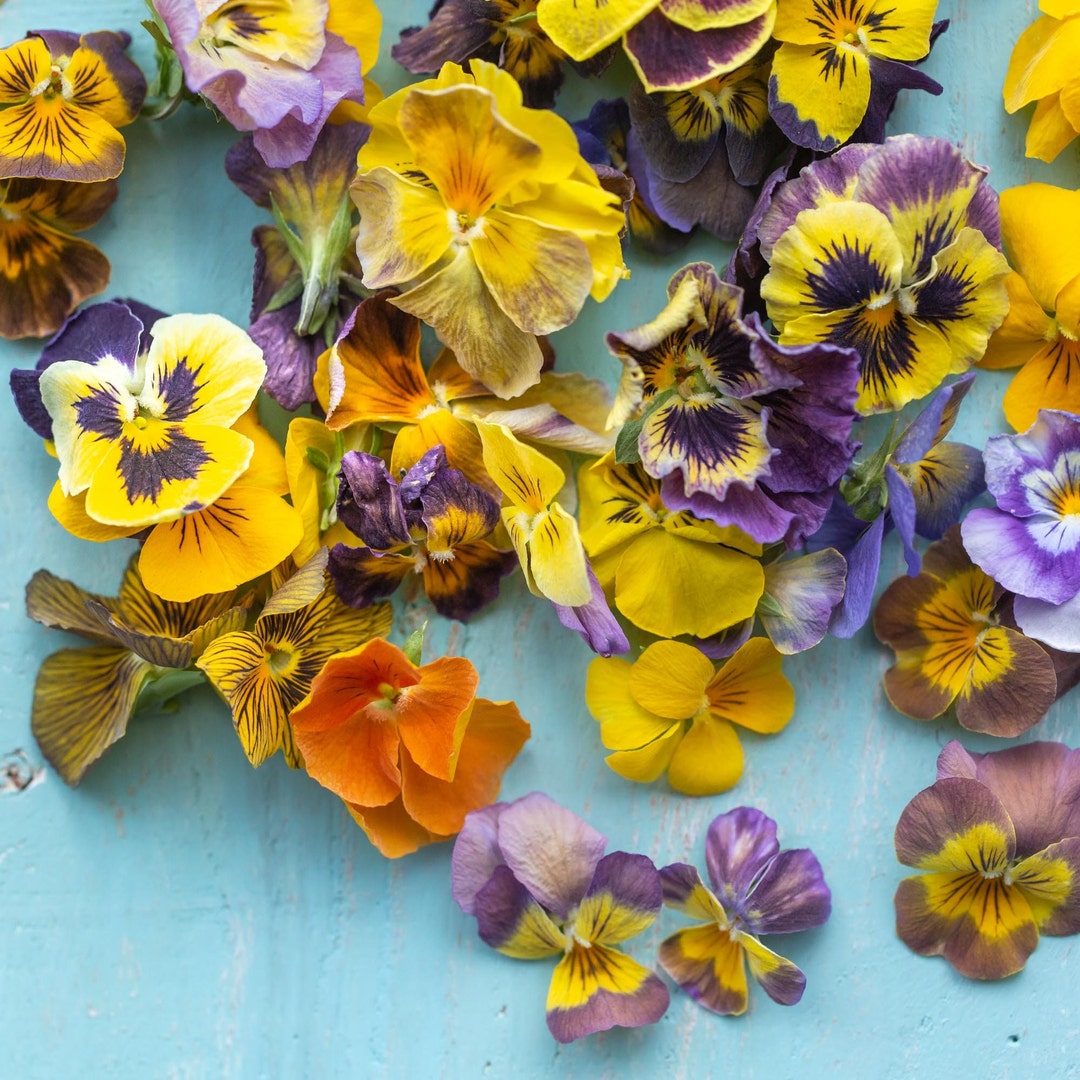 Edible Freeze Dried Natural Viola Flower Heads Cake Decoration Cocktail ...