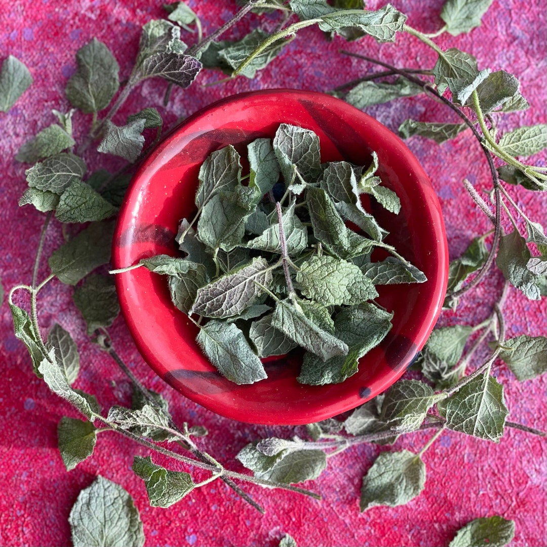 Edible Freeze Dried Strawberry Mint Leaves UK Grown Food Grade Culinary ...