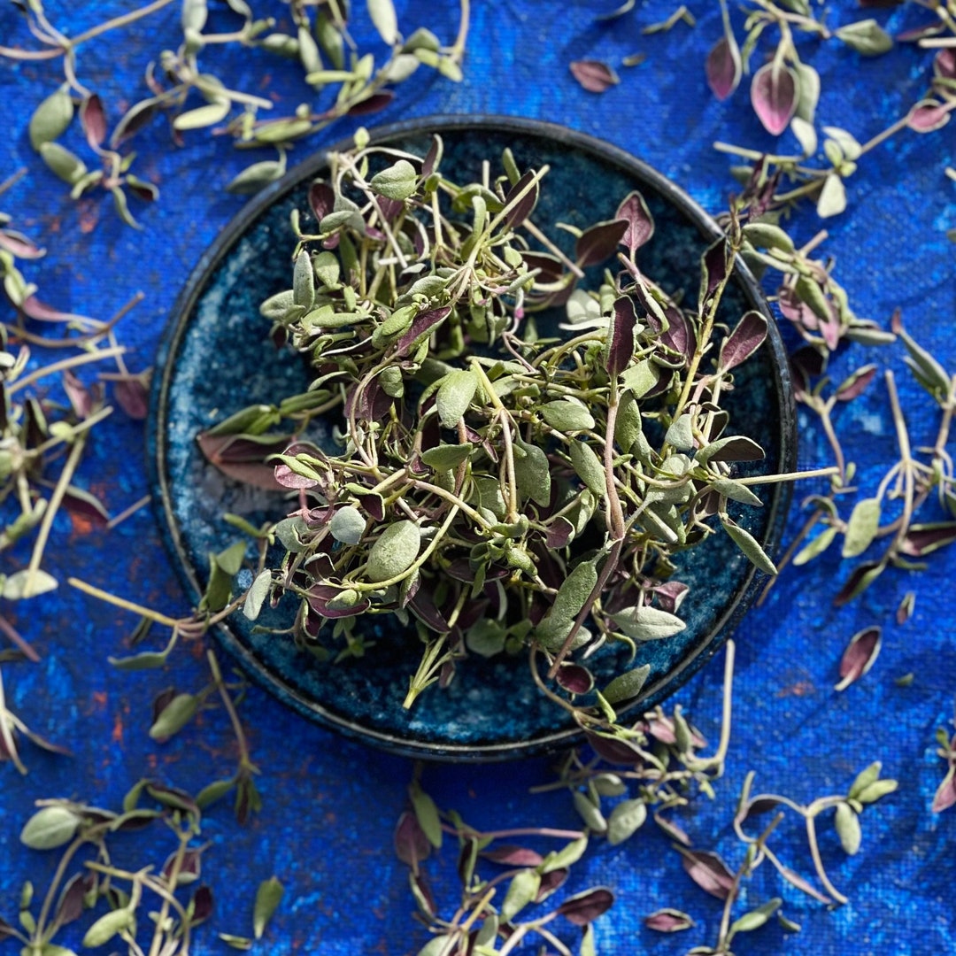 Edible Freeze Dried Micro Thyme Leaves - UK Grown - Certified Food ...