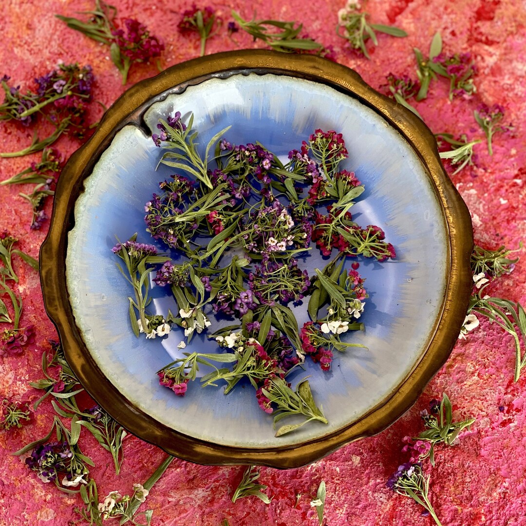 Edible Freeze Dried Alyssum Flowers Cake Decoration Cocktail Garnish ...