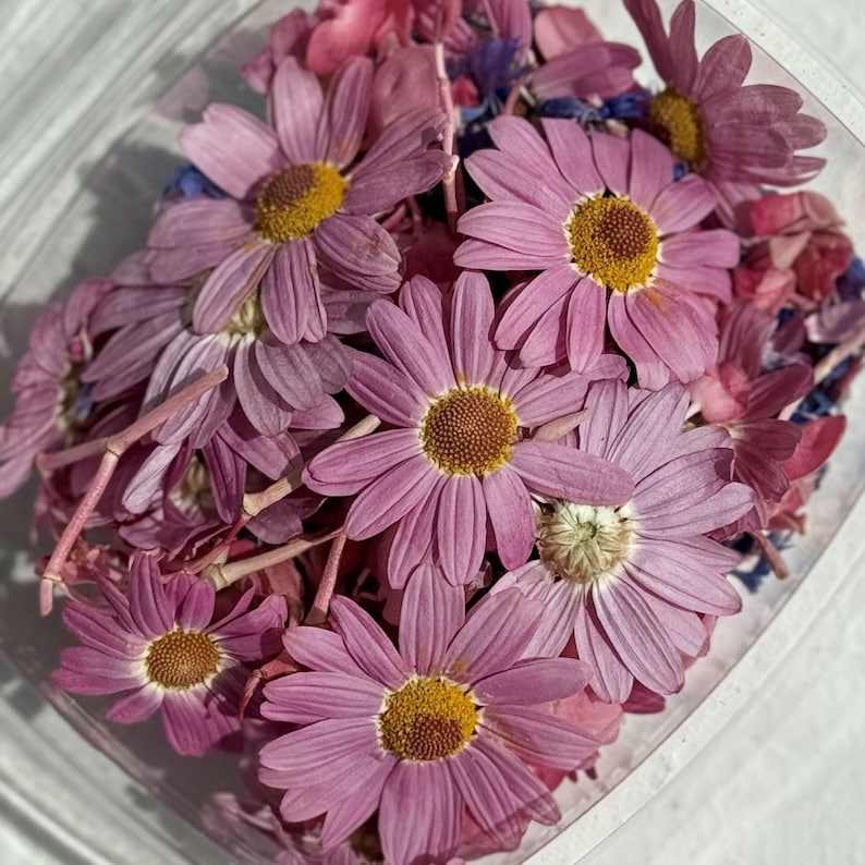 Edible Freeze Dried ‘florence’ Culinary Flower and Petal Mix – Pink ...