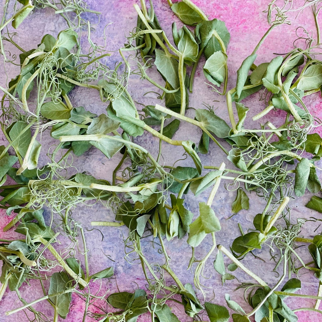 Edible Freeze-dried Pea Shoot Tendril Cake Decorations - Etsy UK