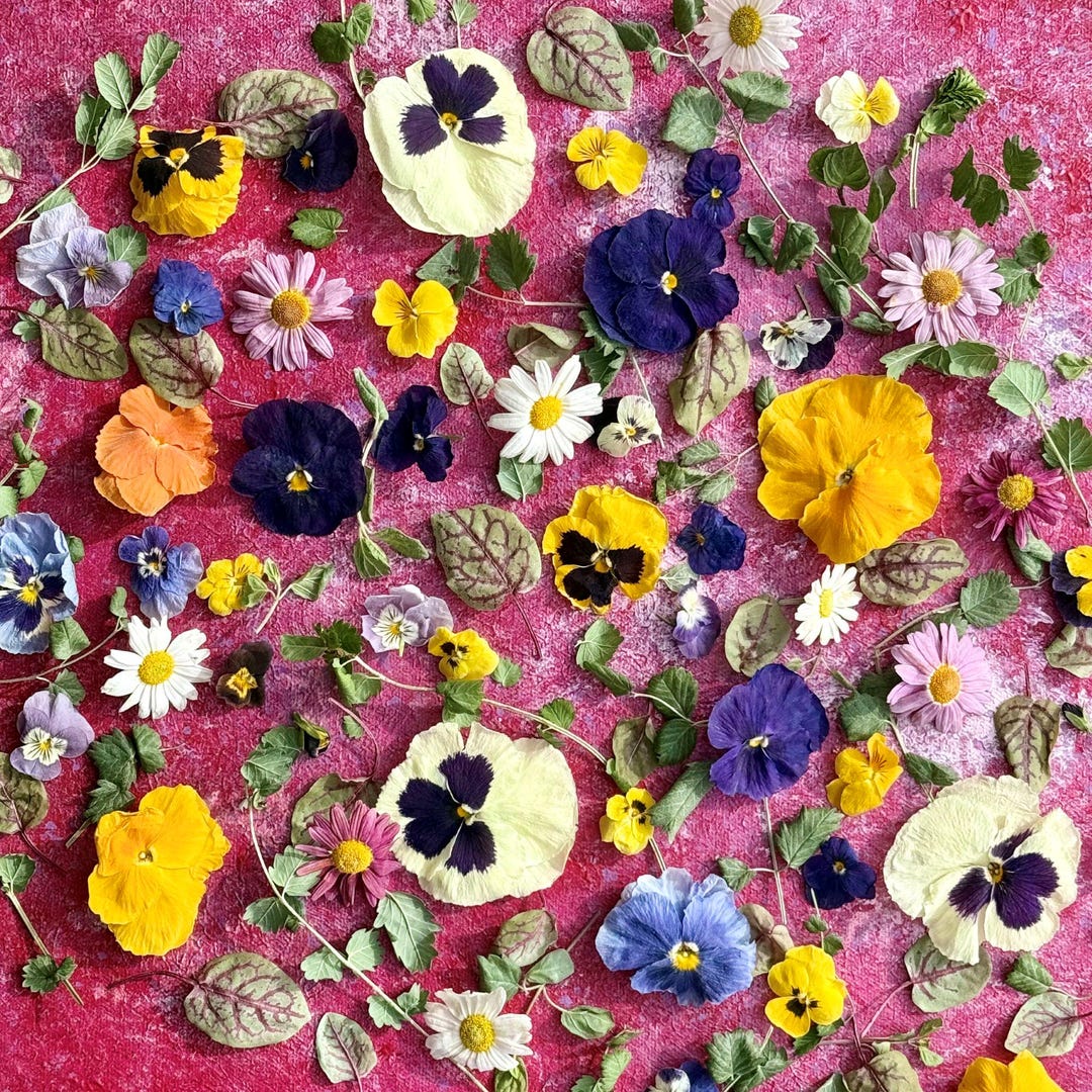Edible ‘polly's Mix’ Freeze Dried Flower Petals – Certified Food Grade ...