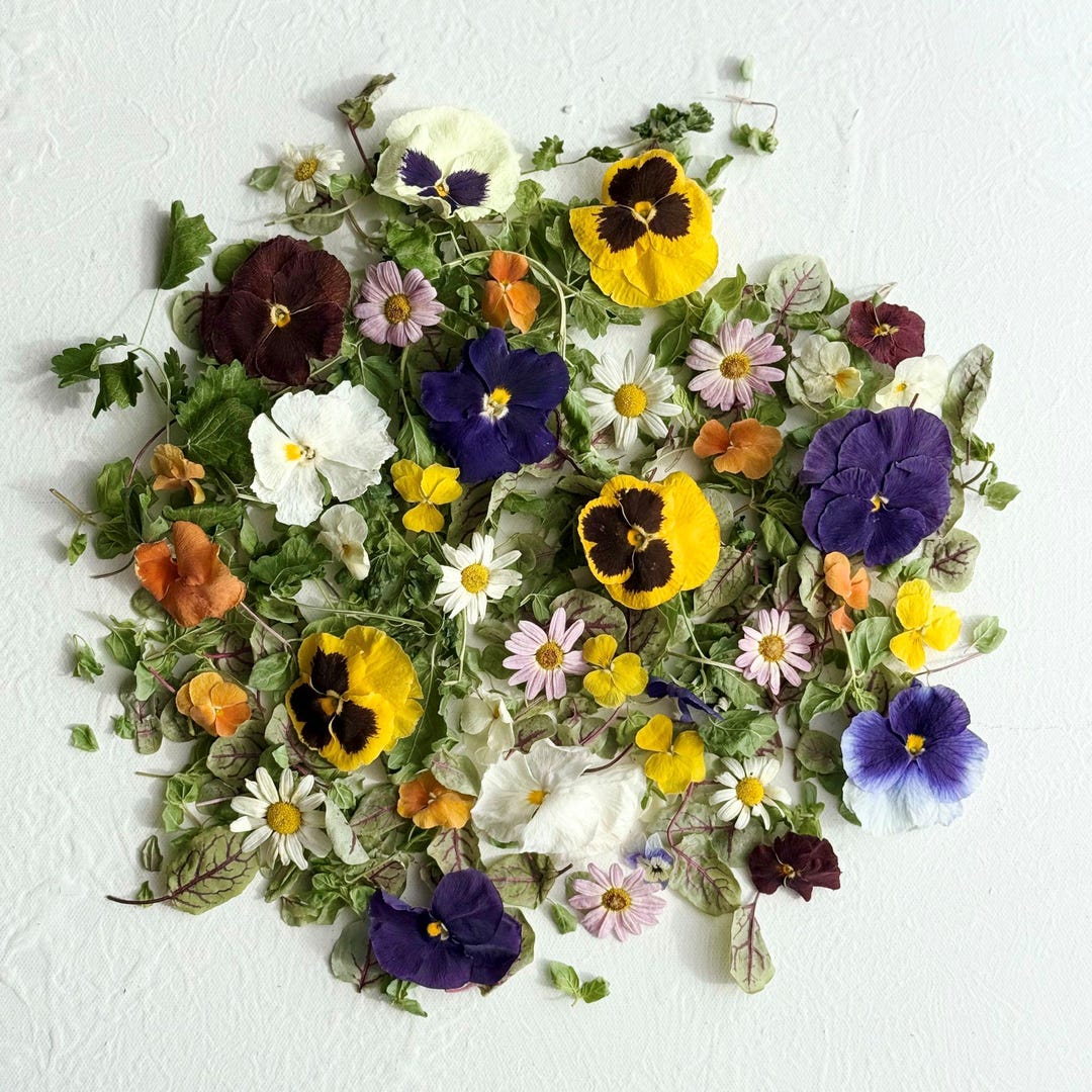 Edible Freeze Dried ‘polly's’ Culinary Flower, Petal and Leaf Mix of ...