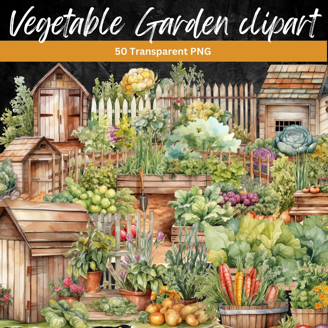 Vegetable Garden Clipart: 50 Watercolor Pngs, Transparent, Digital ...