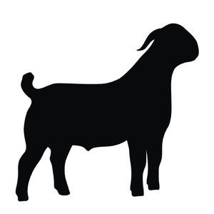 Goat Vinyl Decal, Goat Decal, Goat Sticker, Goat Decal for Car, Goat ...