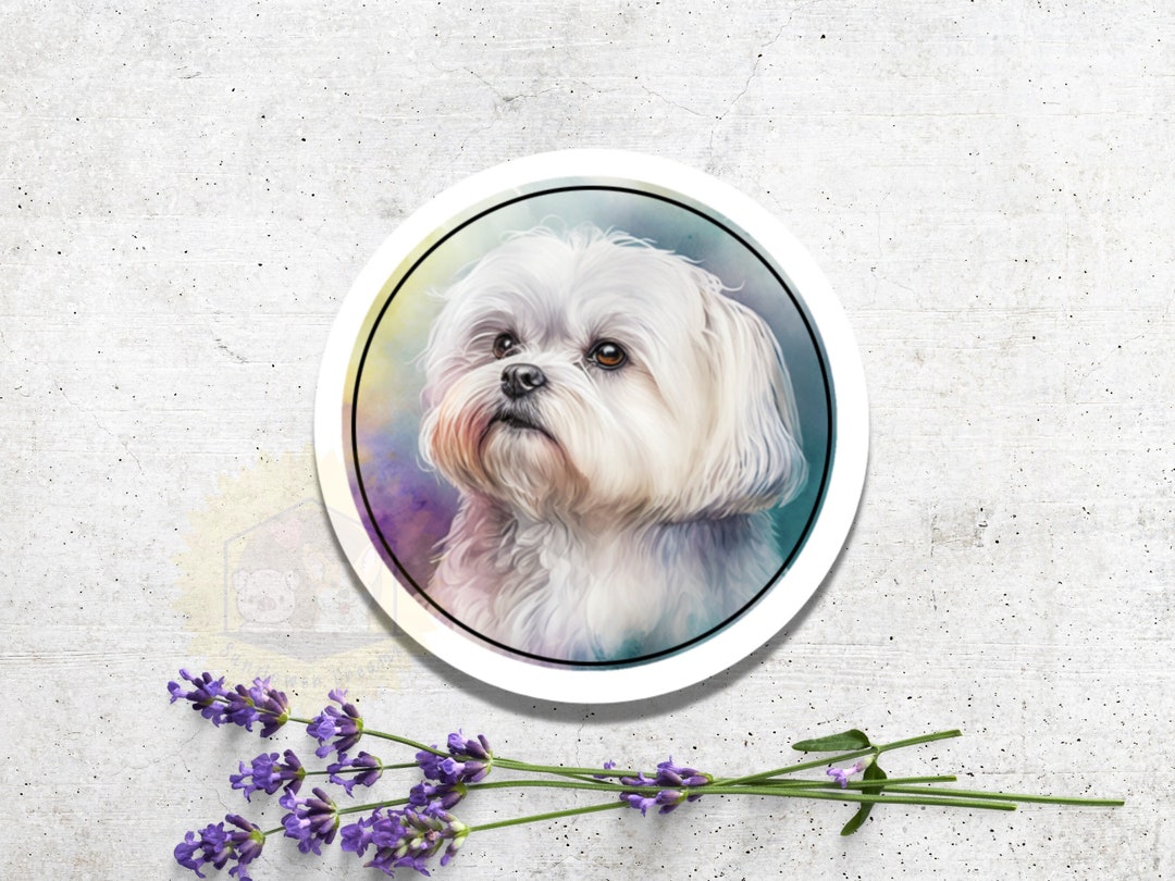 Watercolor Maltese Stickers, Dog Mail Stickers, Maltese Stationary ...