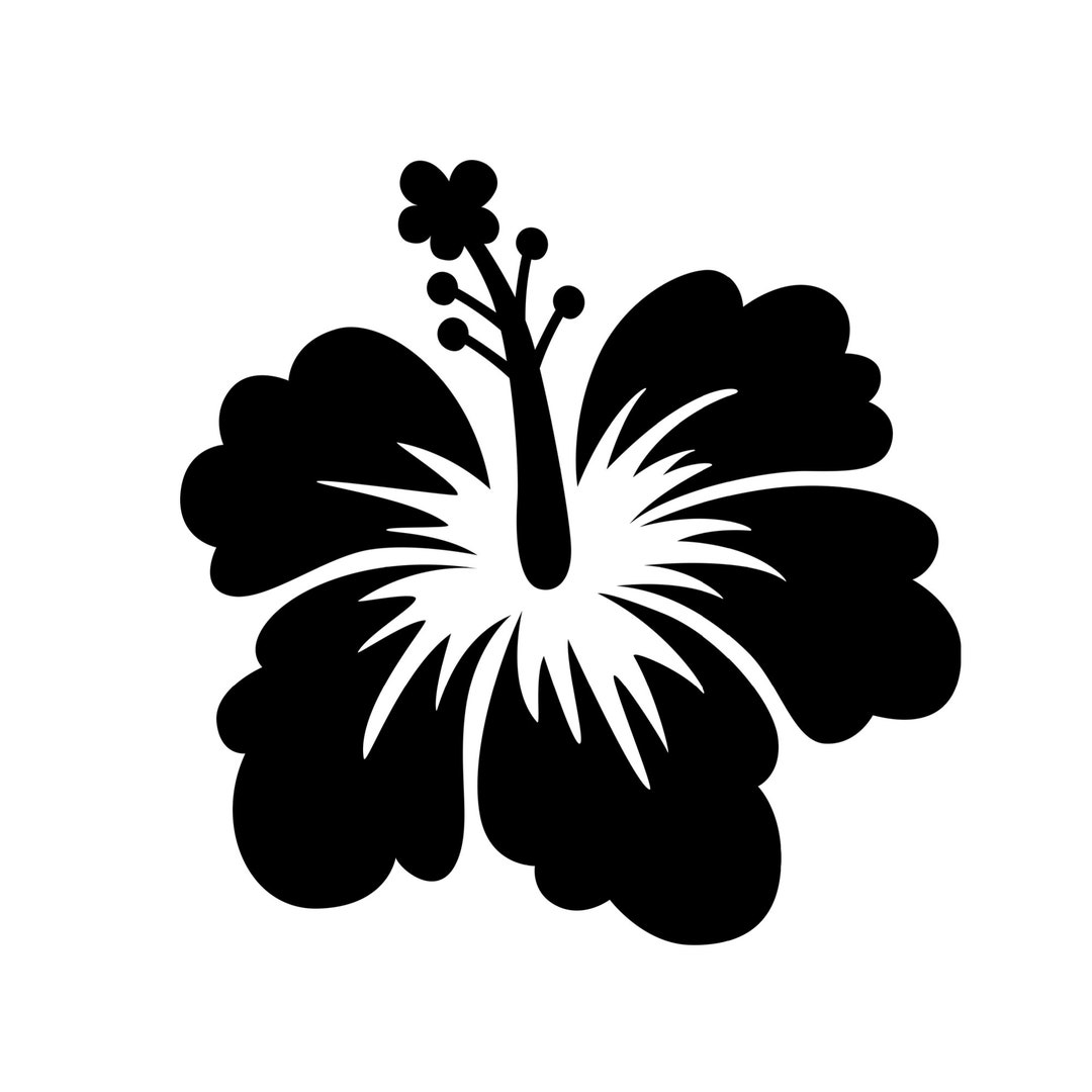 Hibiscus Vinyl Decal Hibiscus Decal Window Decals For Hummingbirds