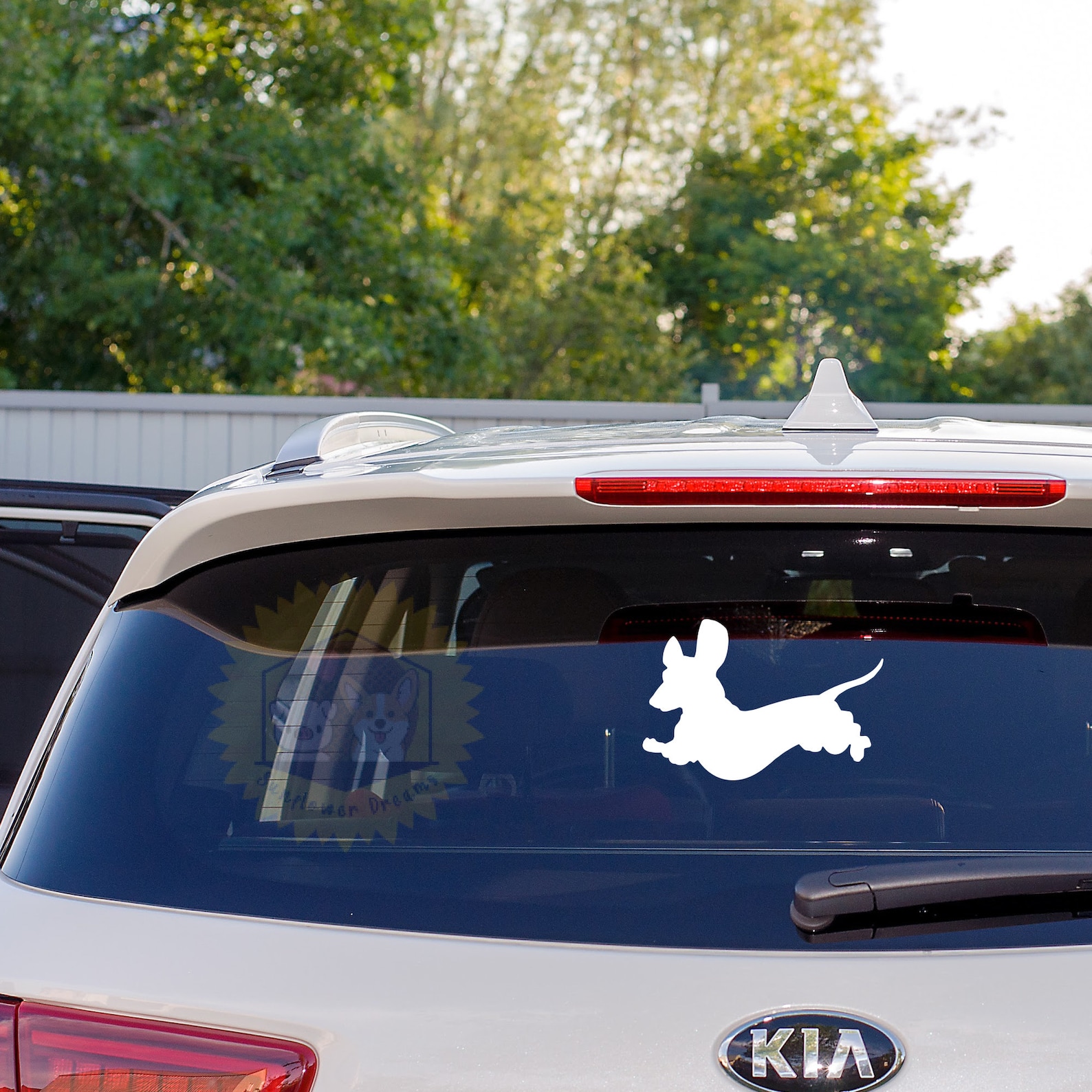 Dachshund Decal: Car, Truck, Tumbler Vinyl Sticker - Etsy