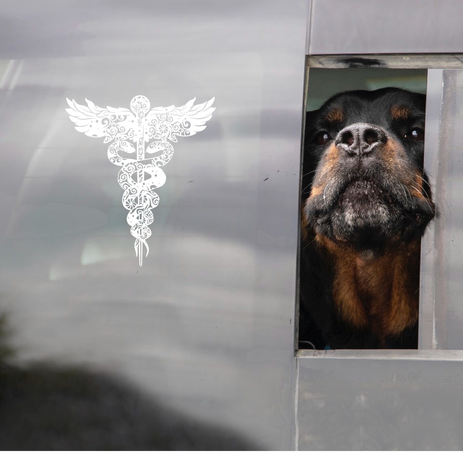 Caduceus Vinyl Decal Truck Window Decal Nurse Car Decal | Etsy